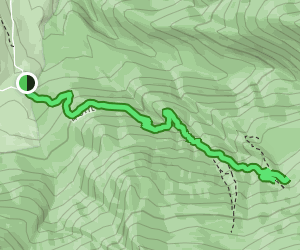 Heliotrope Ridge Trail: 896 Reviews, Map - Washington | AllTrails