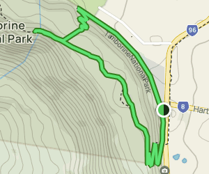 Witches Falls Circuit: 393 Reviews, Map - Queensland, Australia | AllTrails