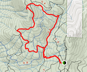Cougar Rock Loop via Cowell Creek and Arnold Rim Trail - California ...