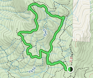 Cougar Rock Loop via Cowell Creek and Arnold Rim Trail: 630 Reviews ...