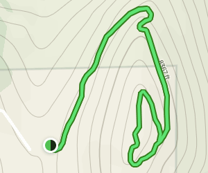 Slide Mountain Trail | Map, Guide - Nevada | AllTrails
