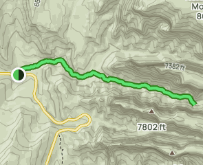 Middle Fork Taylor Creek Trail, Utah - 2,918 Reviews, Map | AllTrails