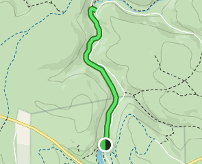 Shingle Mill Trail: 56 Reviews, Map - Pennsylvania | AllTrails