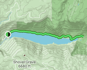 Salt Springs Reservoir Trail, California - 14 Reviews, Map | AllTrails