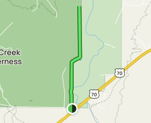 Salt Creek Wilderness Trail, New Mexico - 16 Reviews, Map | AllTrails