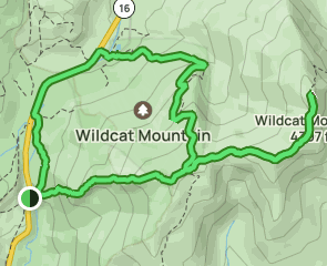 Lost Pond Loop and Wildcat Mountain : 273 Reviews, Map - New Hampshire ...