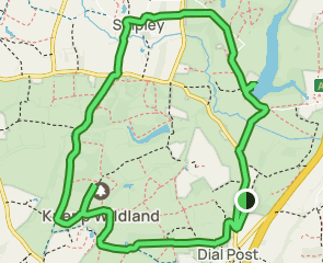 Knepp Red Walk, West Sussex, England - 88 Reviews, Map | AllTrails