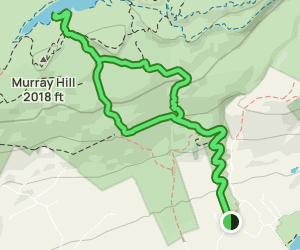 Lake Awosting via Reserve Access and Purple Loop: 296 Reviews, Map ...