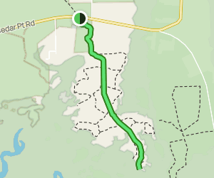 Cedar Point Main Trail: 73 Reviews, Map - Florida | AllTrails