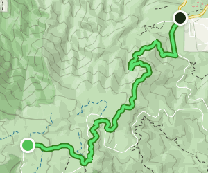 Mount Pinos MTB Trail (Downhill): 98 Reviews, Map - California | AllTrails