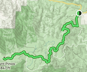 Mount Pinos via McGill Trail: 270 Reviews, Map - California | AllTrails
