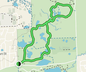 Bald Mountain Red Loop : 948 Reviews, Map - Michigan | AllTrails
