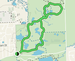 Bald Mountain Red Loop : 776 foto's - Michigan | Wandelen - AllTrails