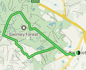 Bagshot and Swinley Forest Circular, Surrey, England - 258 Reviews, Map ...
