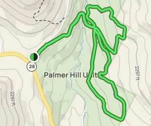 Palmer Hill Trail: 192 Reviews, Map - New York | AllTrails