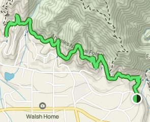 Altadena Crest Trail, California - 534 Reviews, Map | AllTrails