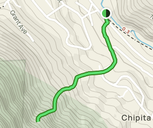 Castle Rock Trail: 86 Reviews, Map - Colorado | AllTrails