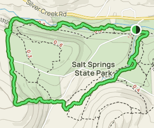 Salt Springs State Park Loop, 345 Photos - Pennsylvania | AllTrails
