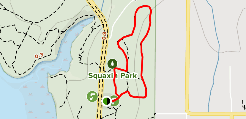 Are Dogs Allowed At Priest Point Park