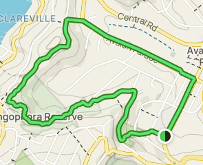 Avalon Angophora Reserve, New South Wales, Australia - 26 Reviews, Map ...