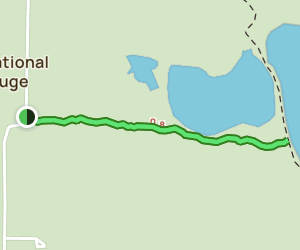 Gator Lake Trail: 72 Reviews, 127 Photos, Map - Alabama | AllTrails