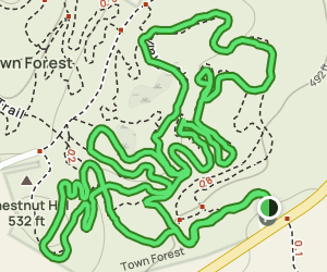 Mendon Town Forest Blue Loop: 112 Reviews, Map - Massachusetts | AllTrails