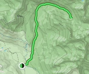 Rustler's Gulch: 723 Reviews, Map - Colorado | AllTrails
