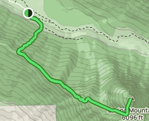 Baring Mountain Trail, Washington - 136 Reviews, Map | AllTrails