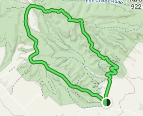 Ashley Forest MTB Loop, Canterbury, New Zealand - 5 Reviews, Map ...