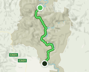 Mitchell River Walking Track, Victoria, Australia - 24 Reviews, Map ...