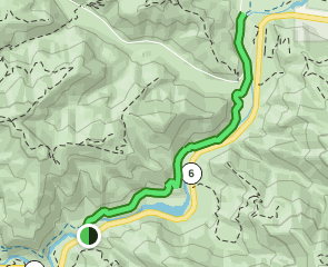 Wilson River Trail, Oregon - 586 Reviews, Map | AllTrails