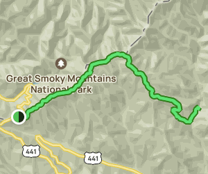 Newfound Gap Overlook to Campsite 49 via Appalachian Trail: 25 Reviews ...