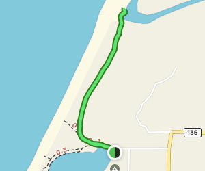 Floras Lake to New River Trail - Oregon | AllTrails