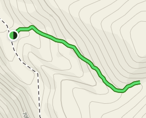 Ophir Canyon Campground Trail, Utah - 17 Reviews, Map | AllTrails