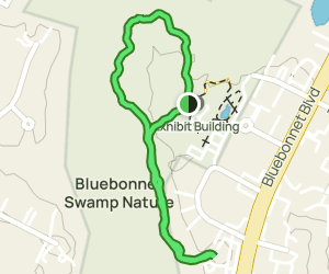 Bluebonnet Swamp Trail : 72 Reviews, Map - Louisiana | AllTrails