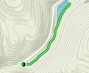 Mirror Lake Trail, Arkansas - 306 Reviews, Map | AllTrails