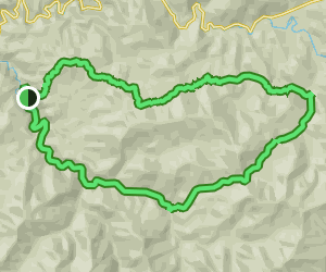 Lumber Ridge to Middle Prong Loop: 20 Reviews, Map - Tennessee | AllTrails