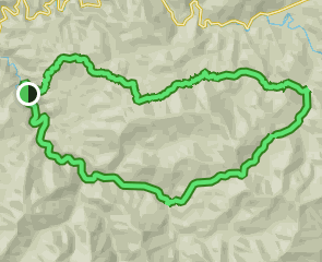 Lumber Ridge to Middle Prong Loop: 20 Reviews, Map - Tennessee | AllTrails