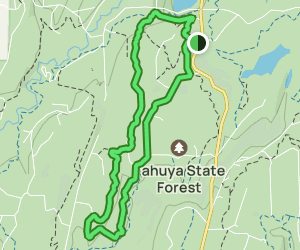 Tahuya Lookout OHV Loop : 91 Reviews, Map - Washington | AllTrails