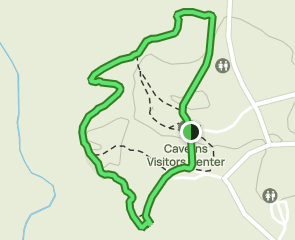 Beech Magnolia and Bluff Loop Trail, Florida - 126 Reviews, Map | AllTrails