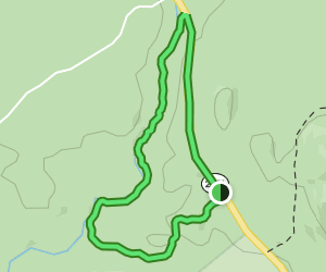 Boreas Loop Trail: 10 Reviews, Map - New York | AllTrails