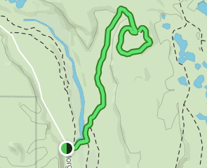 Frog Lake Trail, Washington - 143 Reviews, Map | AllTrails
