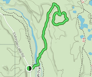 Frog Lake Trail: 137 Reviews, Map - Washington | AllTrails