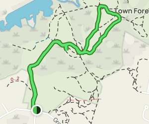 Reading Town Forest Inner Loop: 372 Reviews, Map - Massachusetts ...