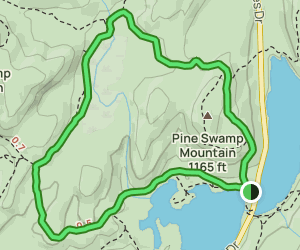 Pine Swamp Loop: 971 Reviews, Map - New York | AllTrails