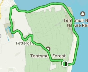 Tentsmuir Forest and Kinshaldy Beach, Fife, Scotland - 33 Reviews, Map ...