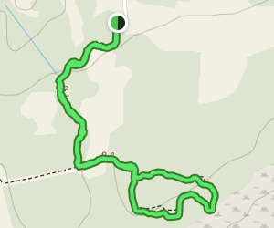 Calvin and Coyle Trail: 115 Reviews, Map - Alaska | AllTrails