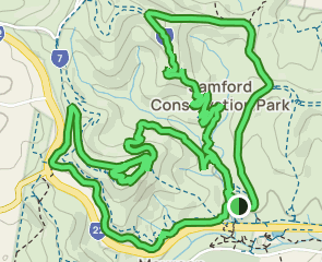 Green Tree Snake, PMG, Kombi and Lomandra Loop, Queensland, Australia ...