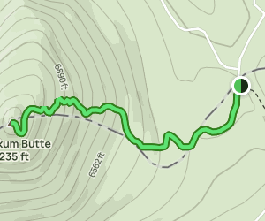 Skookum Butte: 55 Reviews, Map - Montana | AllTrails