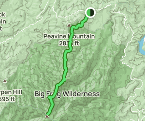 Big Frog Trail: 129 Reviews, Map - Tennessee | AllTrails